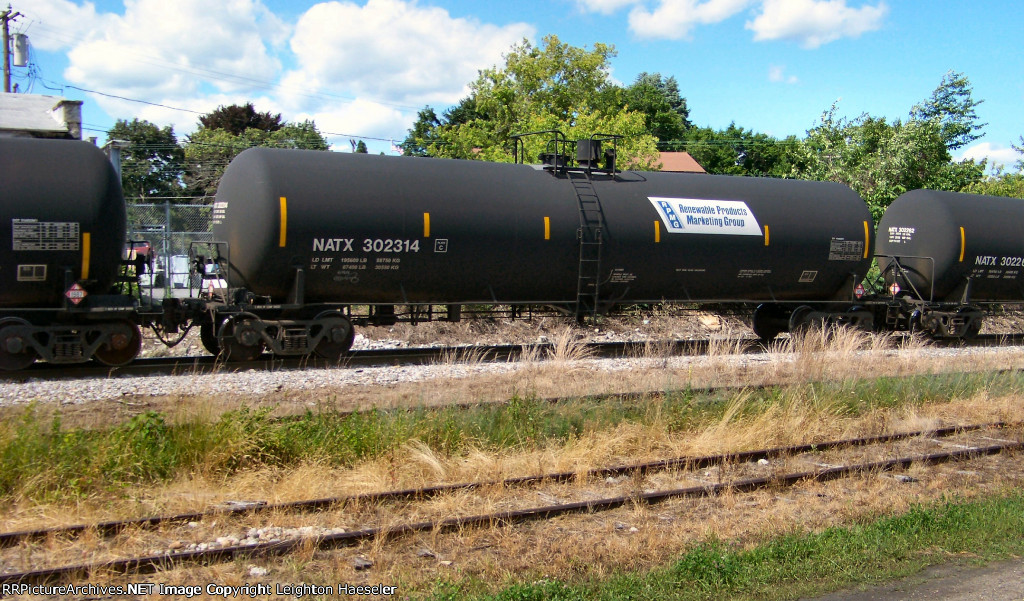 NATX 302314 in Renewable Products Marketing Group paint